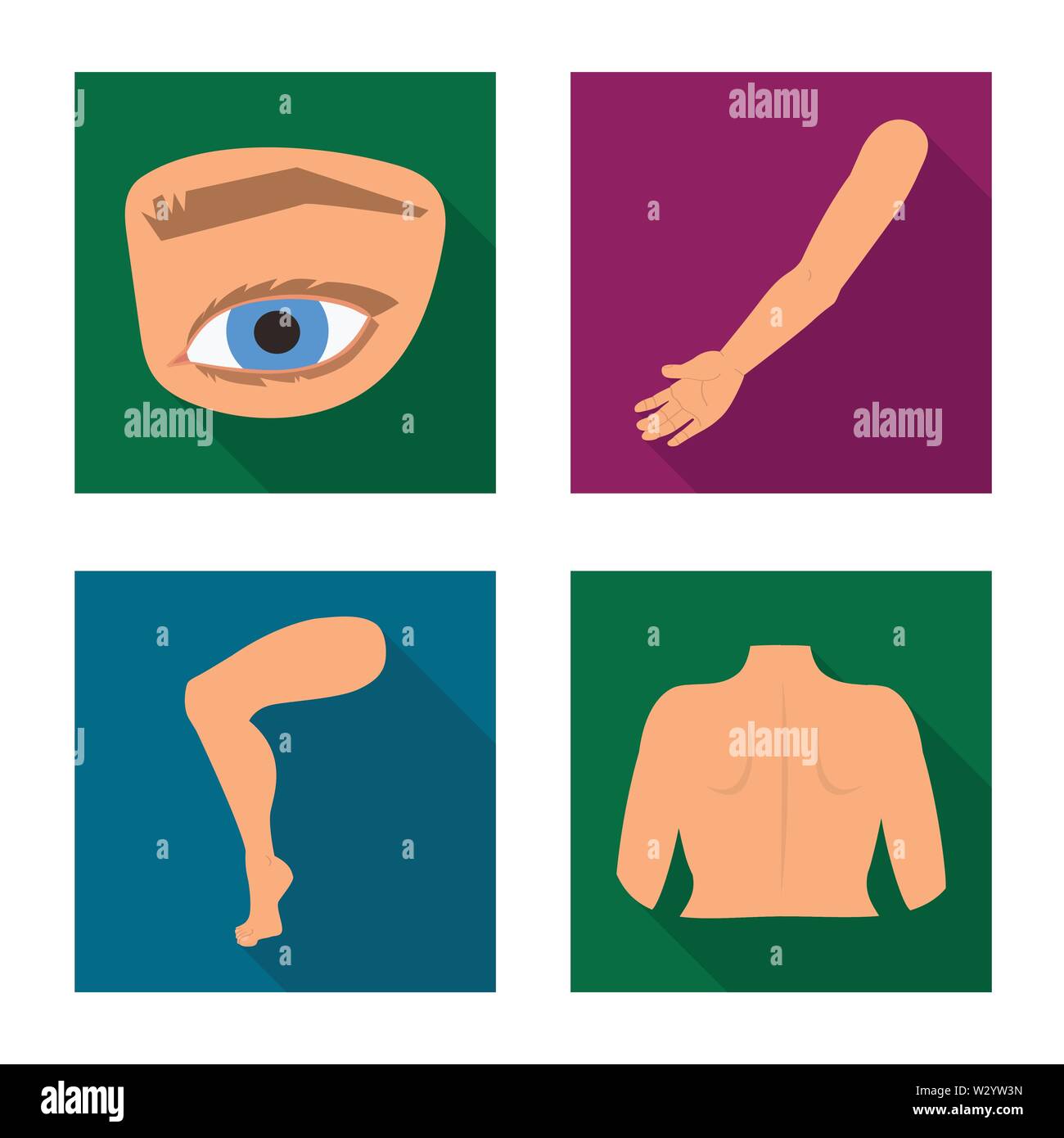 Vector illustration of body and part sign. Set of body and anatomy ...
