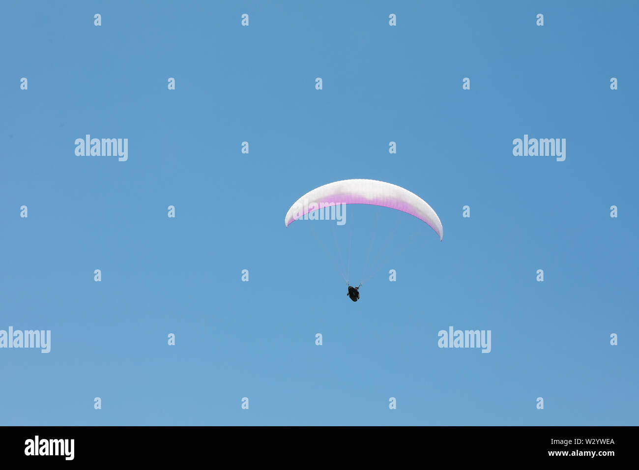 Skydiver with a white-pink parachute flies across the blue sky Stock ...