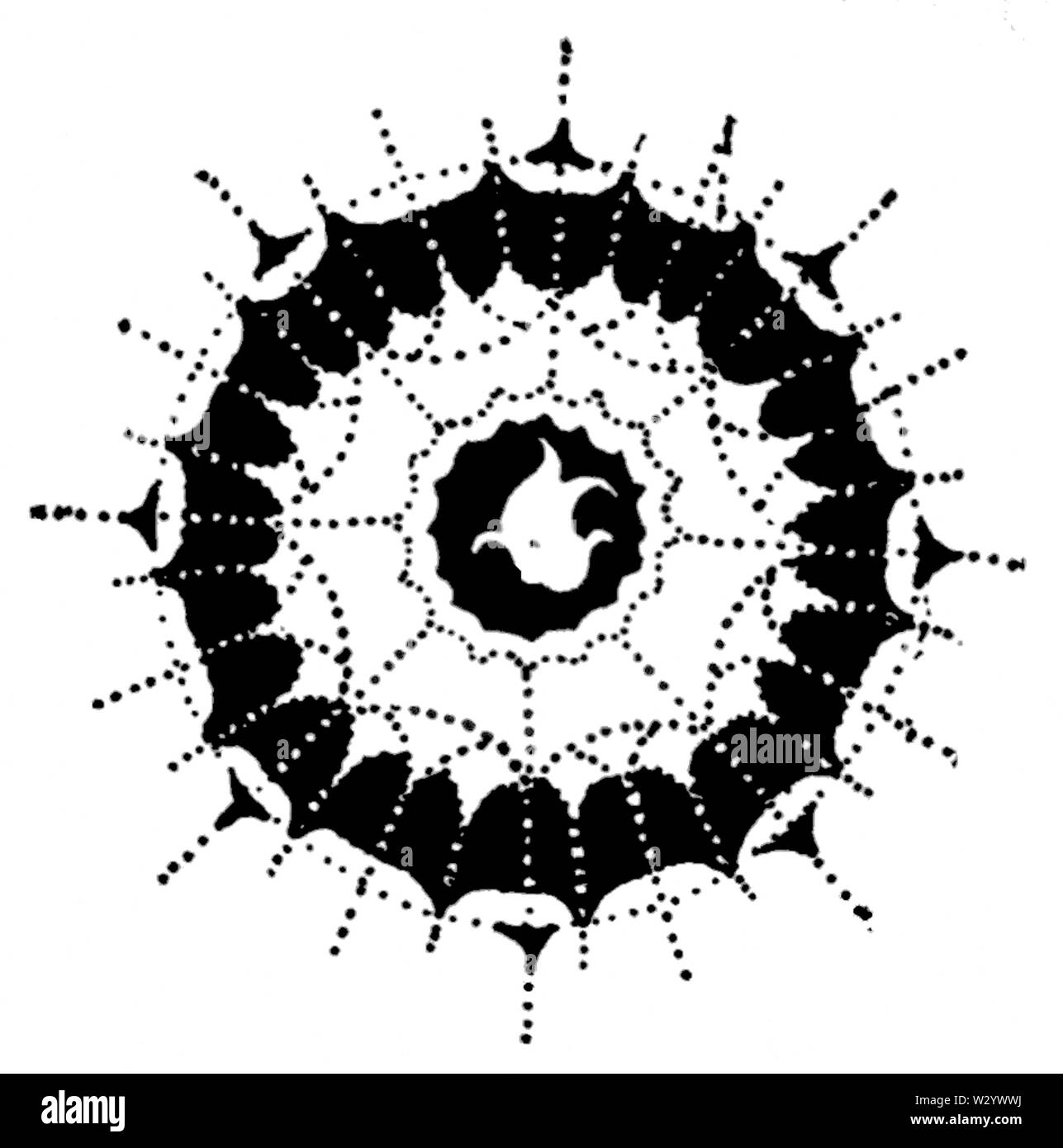 Offt hi-res stock photography and images - Alamy