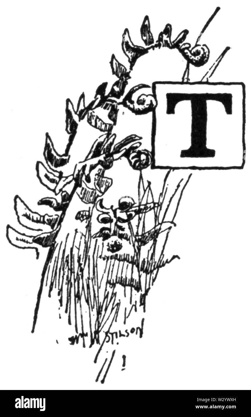 Log catalog Black and White Stock Photos & Images - Alamy