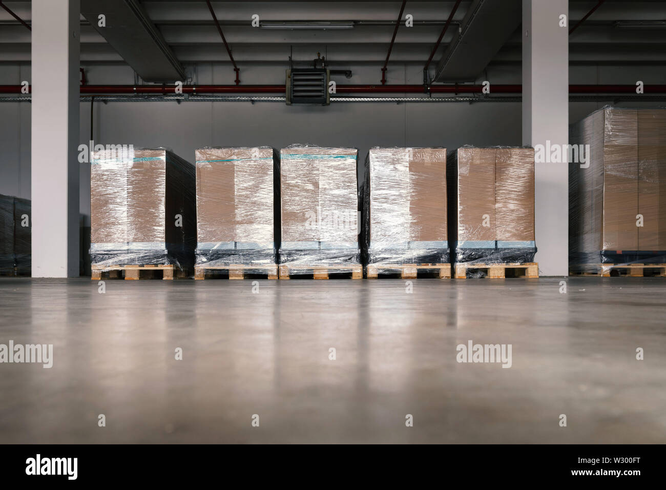 Warehouse with concrete floor and packed cartons neatly stacked on ...