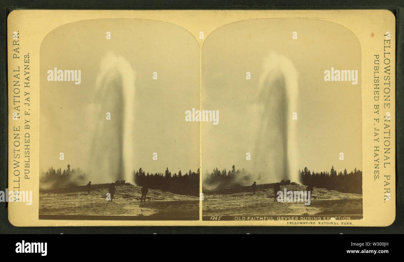 Old Faithful Geyser during Eruption, Yellowstone National Park, by ...