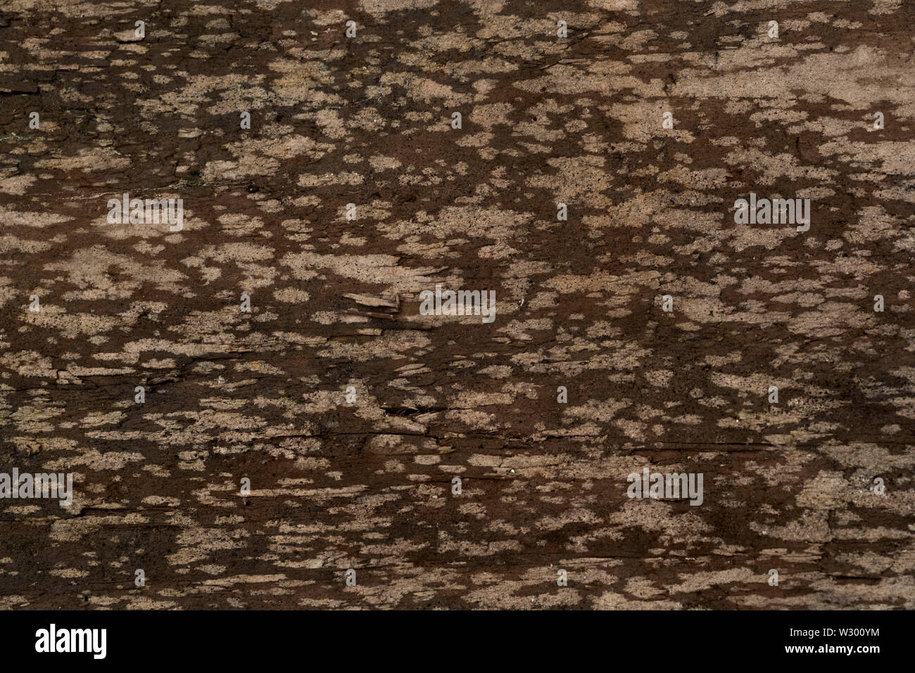 Discoloured material hi-res stock photography and images - Alamy