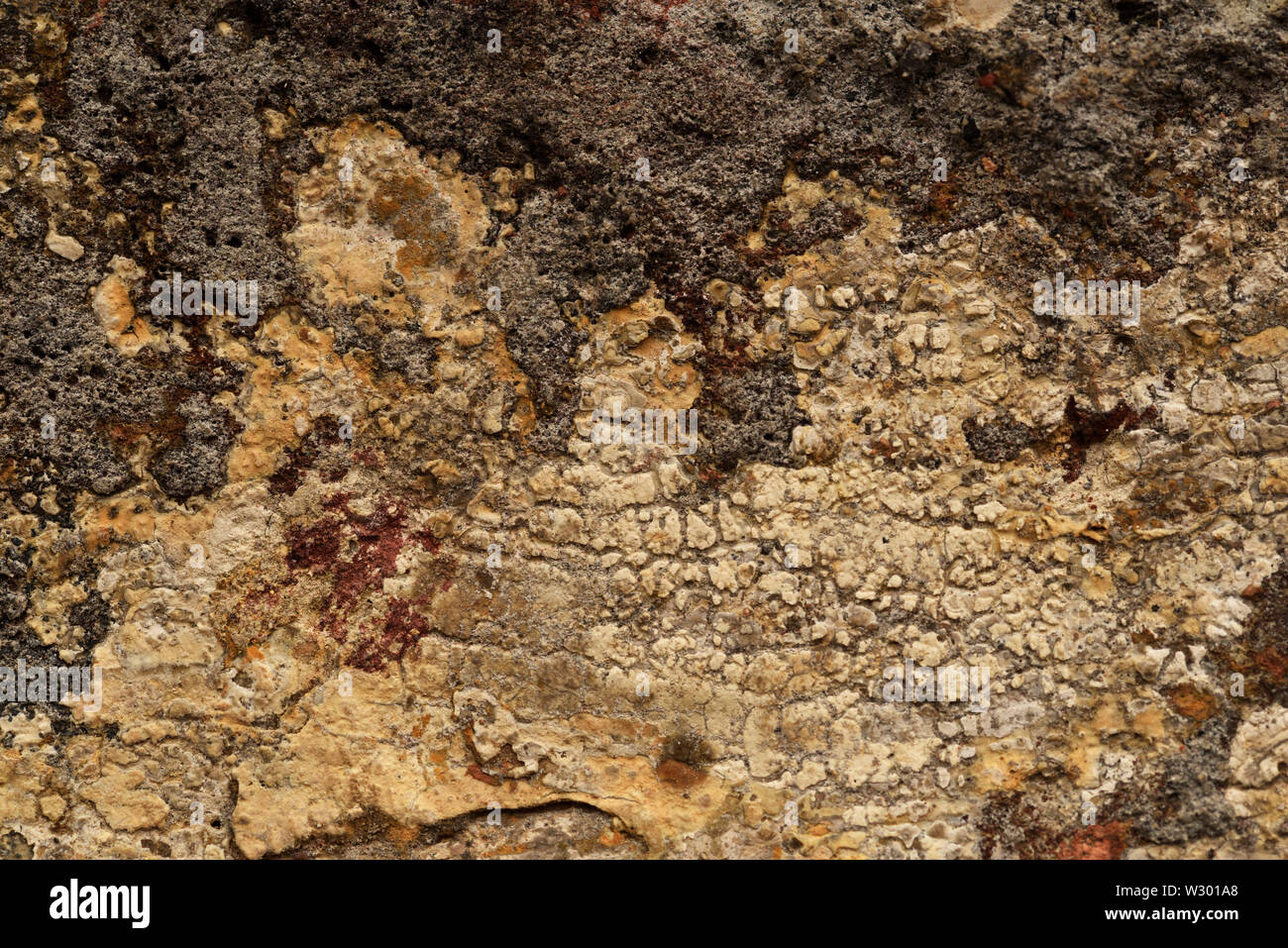 Mottled surface hi-res stock photography and images - Alamy