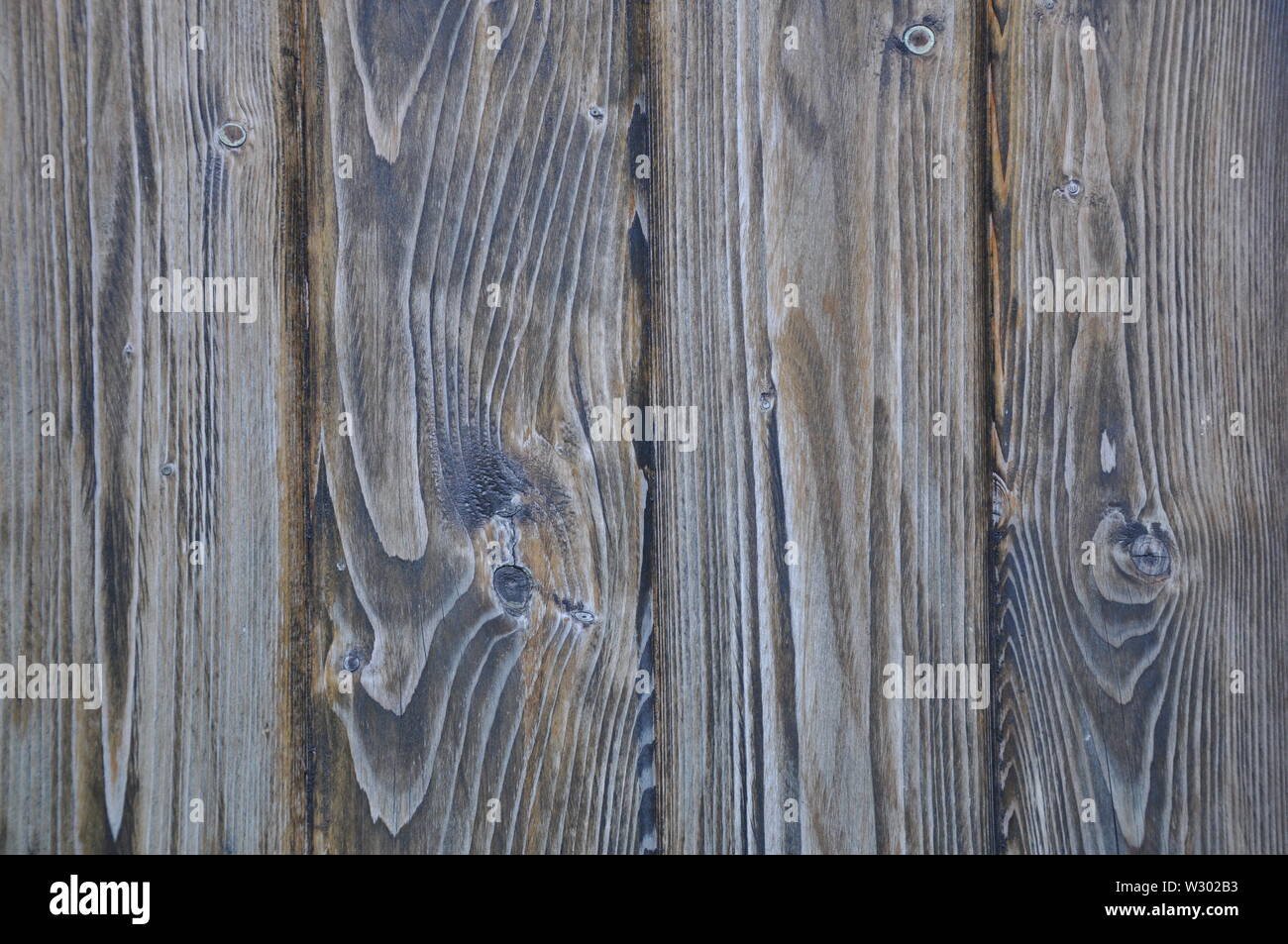 Old textured wood panel. Wood texture. Element for designers Stock ...