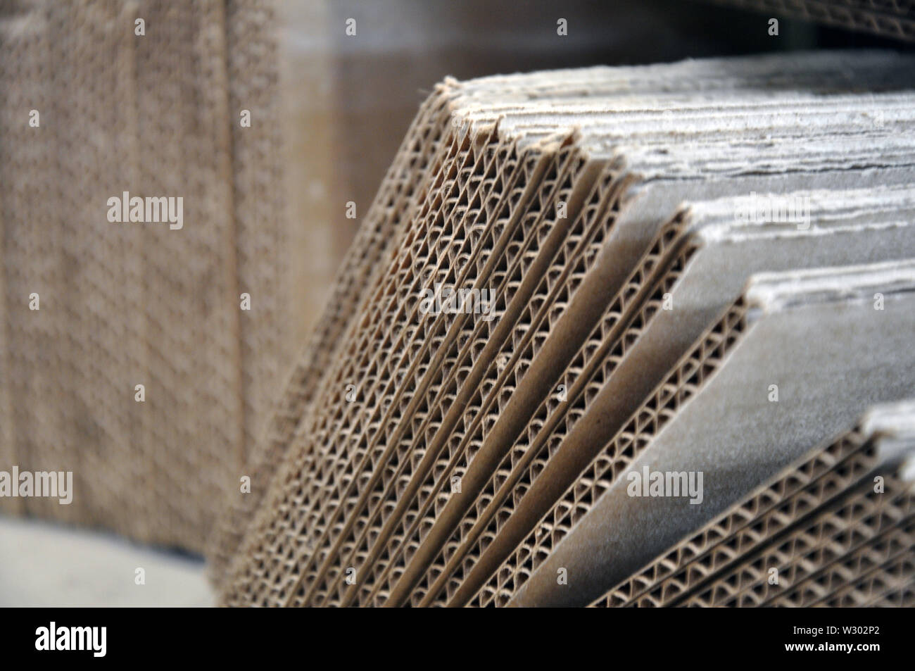 Corrugated cardboard sheets one by one, they are prepared for packing ...