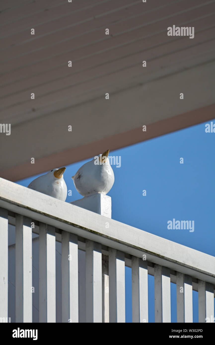 Terrace birds hi-res stock photography and images - Alamy