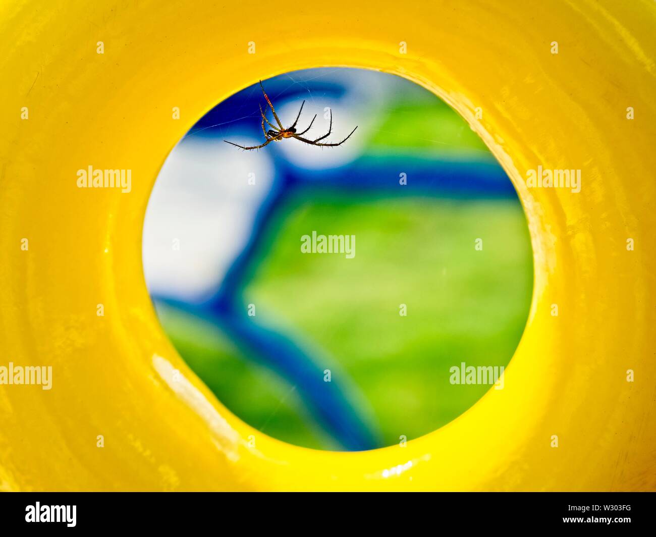 Spider circle hi-res stock photography and images - Alamy