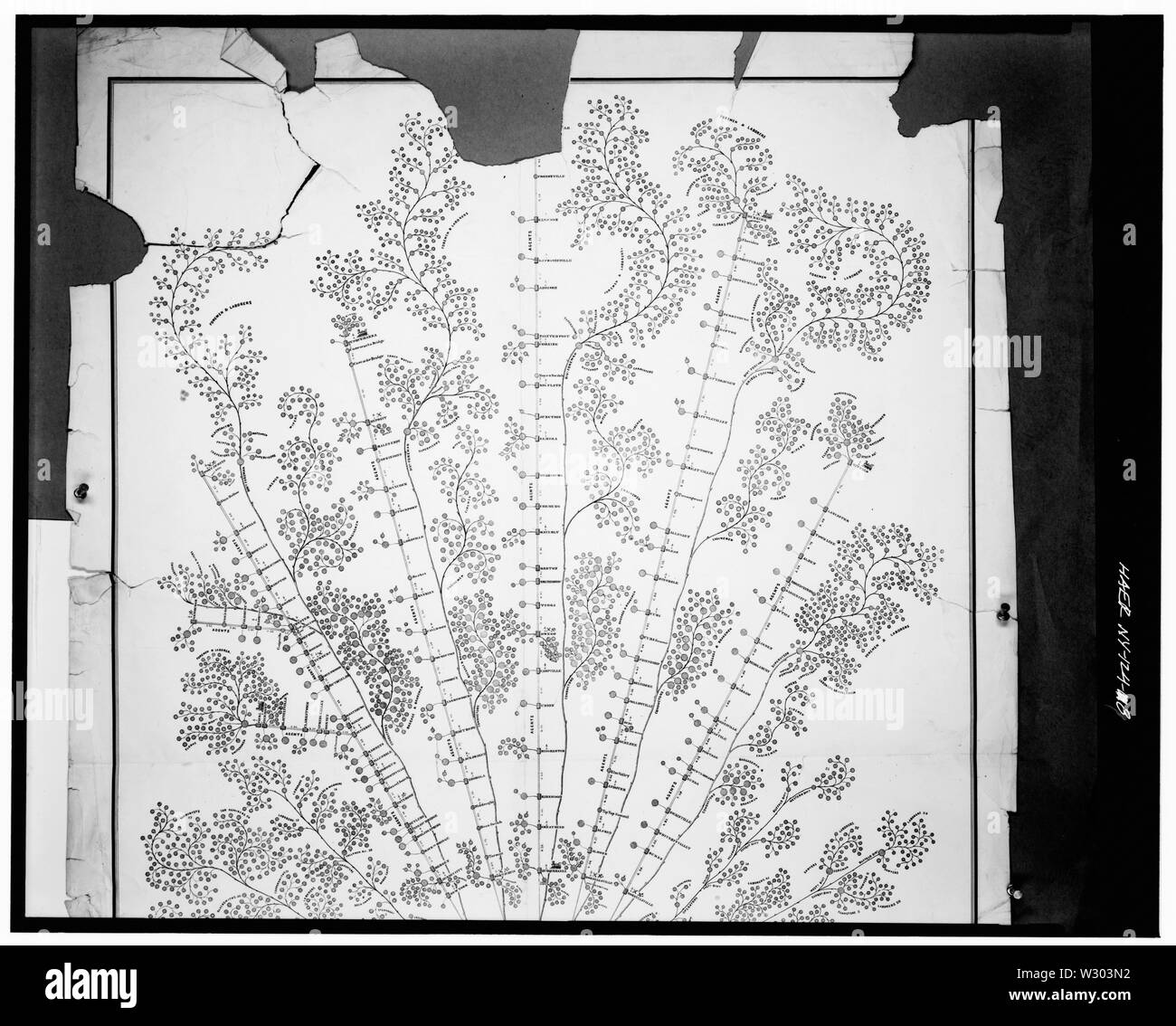 Organizational diagram of the New York and Erie Railroad, 1855 top half ...