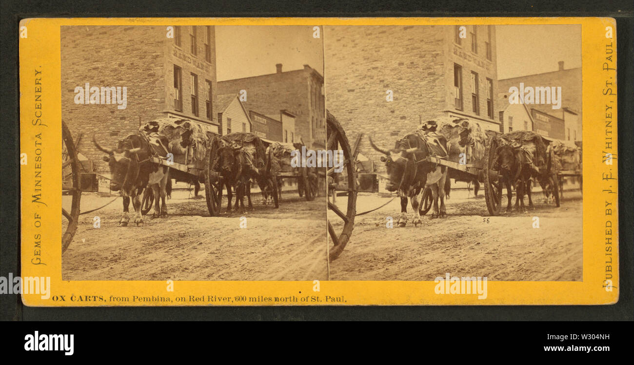 Ox driven carts hi-res stock photography and images - Alamy