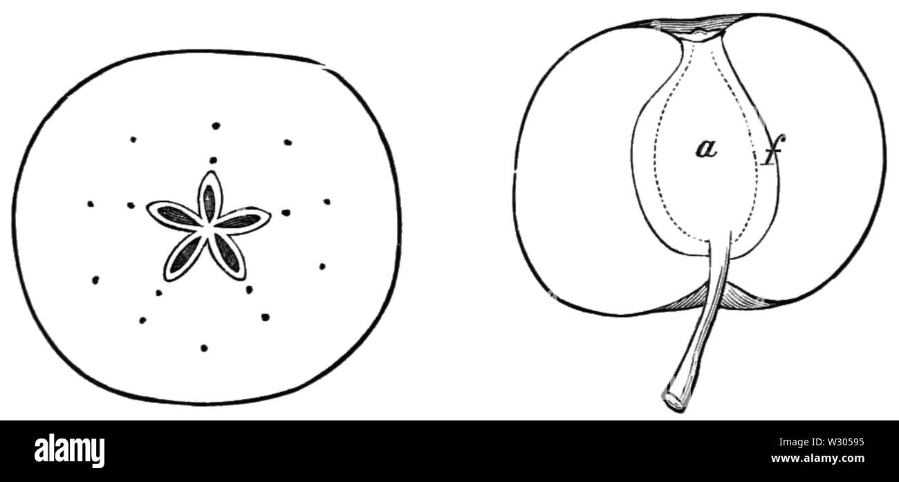 Kittanning Black and White Stock Photos & Images - Alamy