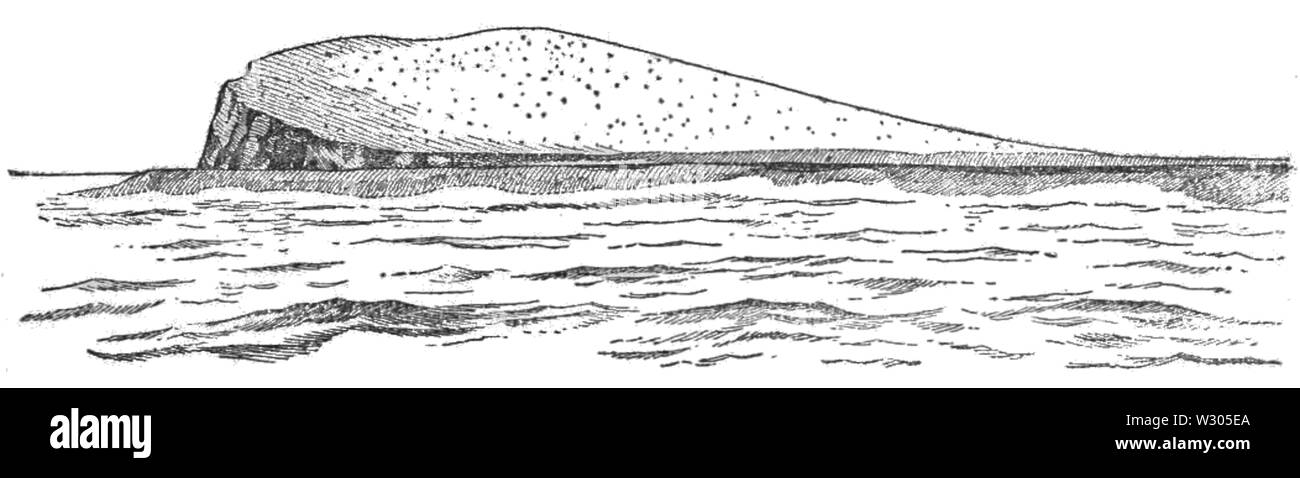 Island study Cut Out Stock Images & Pictures - Alamy