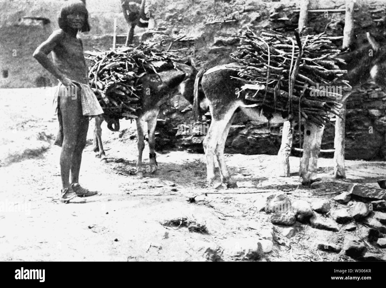 Environment transporting Black and White Stock Photos & Images - Alamy