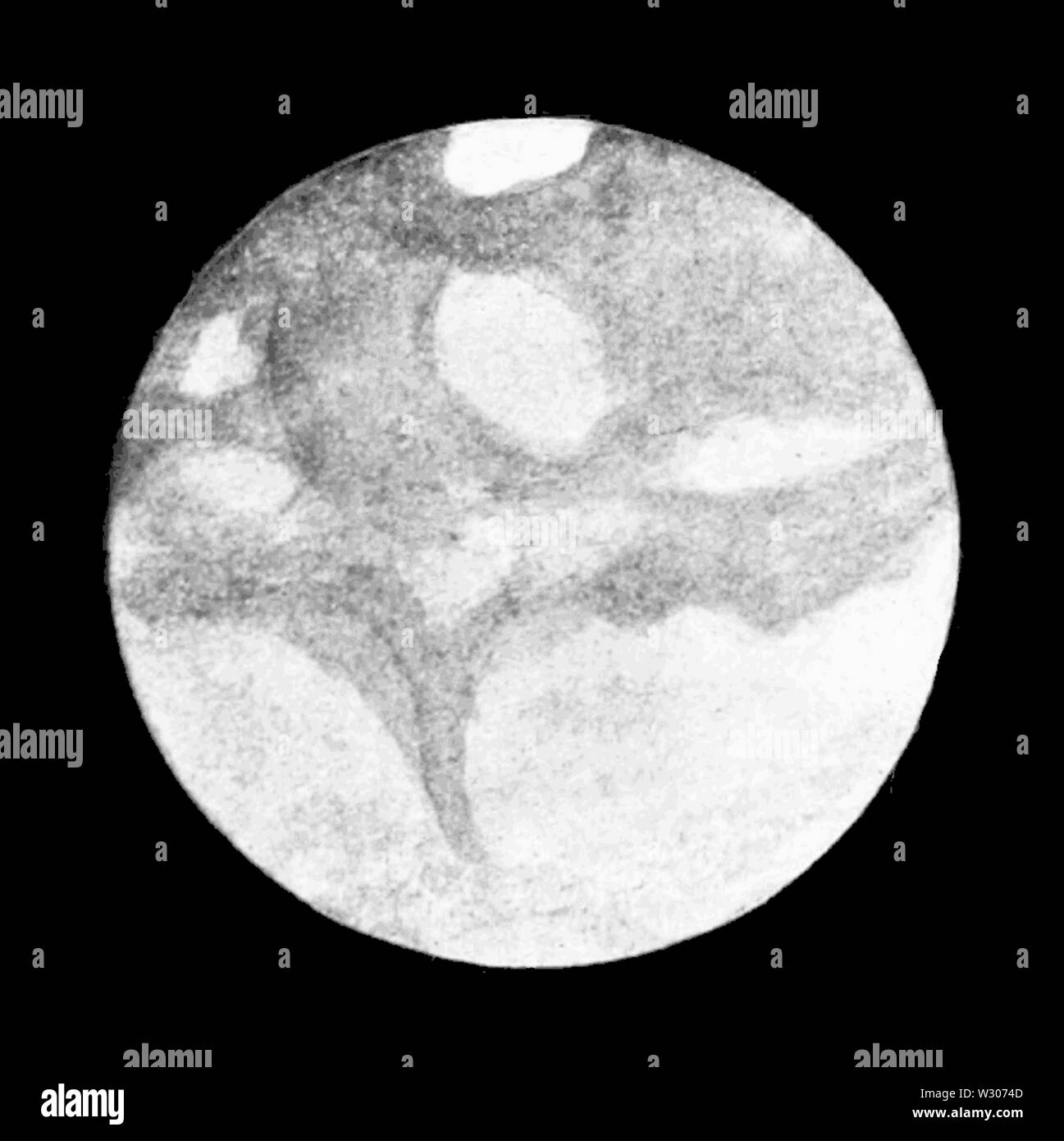 PSM V56 D0360 Mars seen through a five inch telesope Stock Photo - Alamy