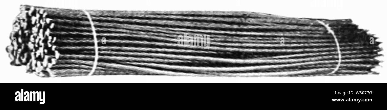 Cordite Cut Out Stock Images & Pictures - Alamy