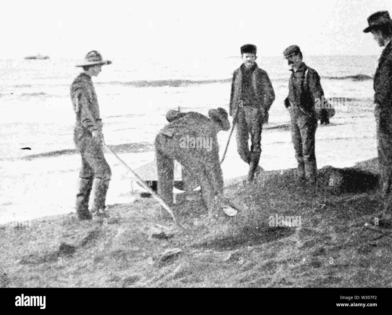 Digging for gold hi-res stock photography and images - Alamy