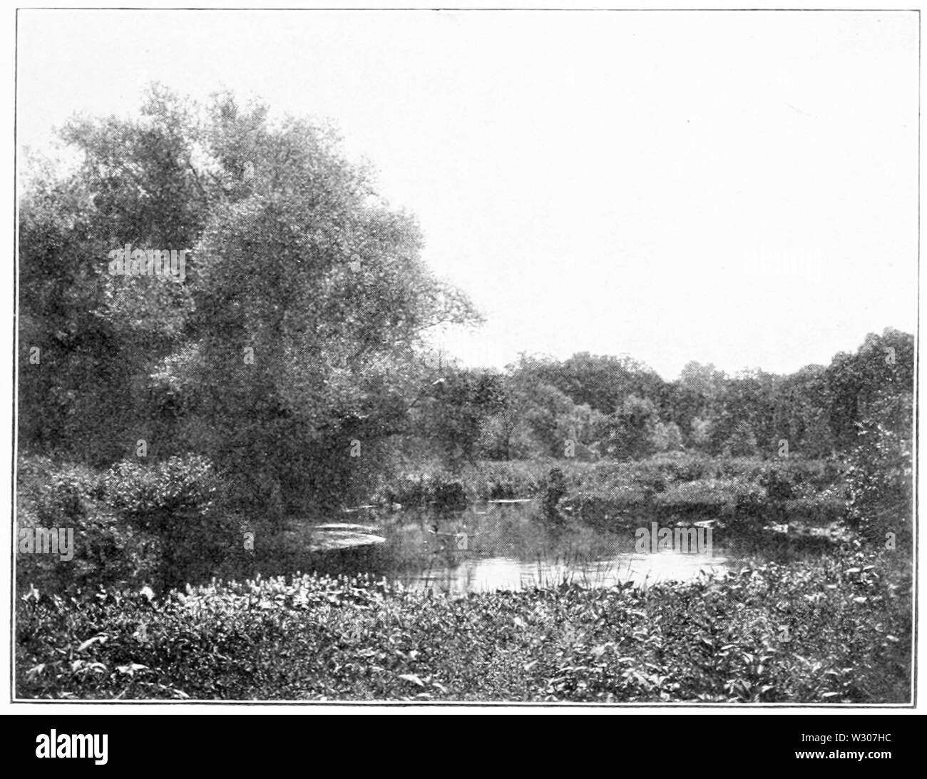 Habitat meadows Black and White Stock Photos & Images - Alamy