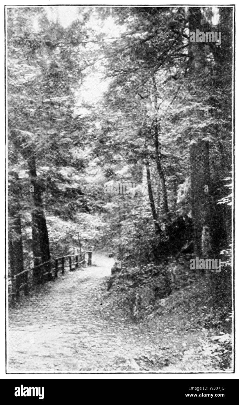 Botanical management Black and White Stock Photos & Images - Alamy