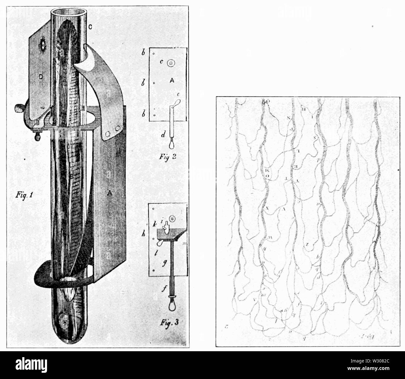 Leeuwenhoek microscope Black and White Stock Photos & Images - Alamy