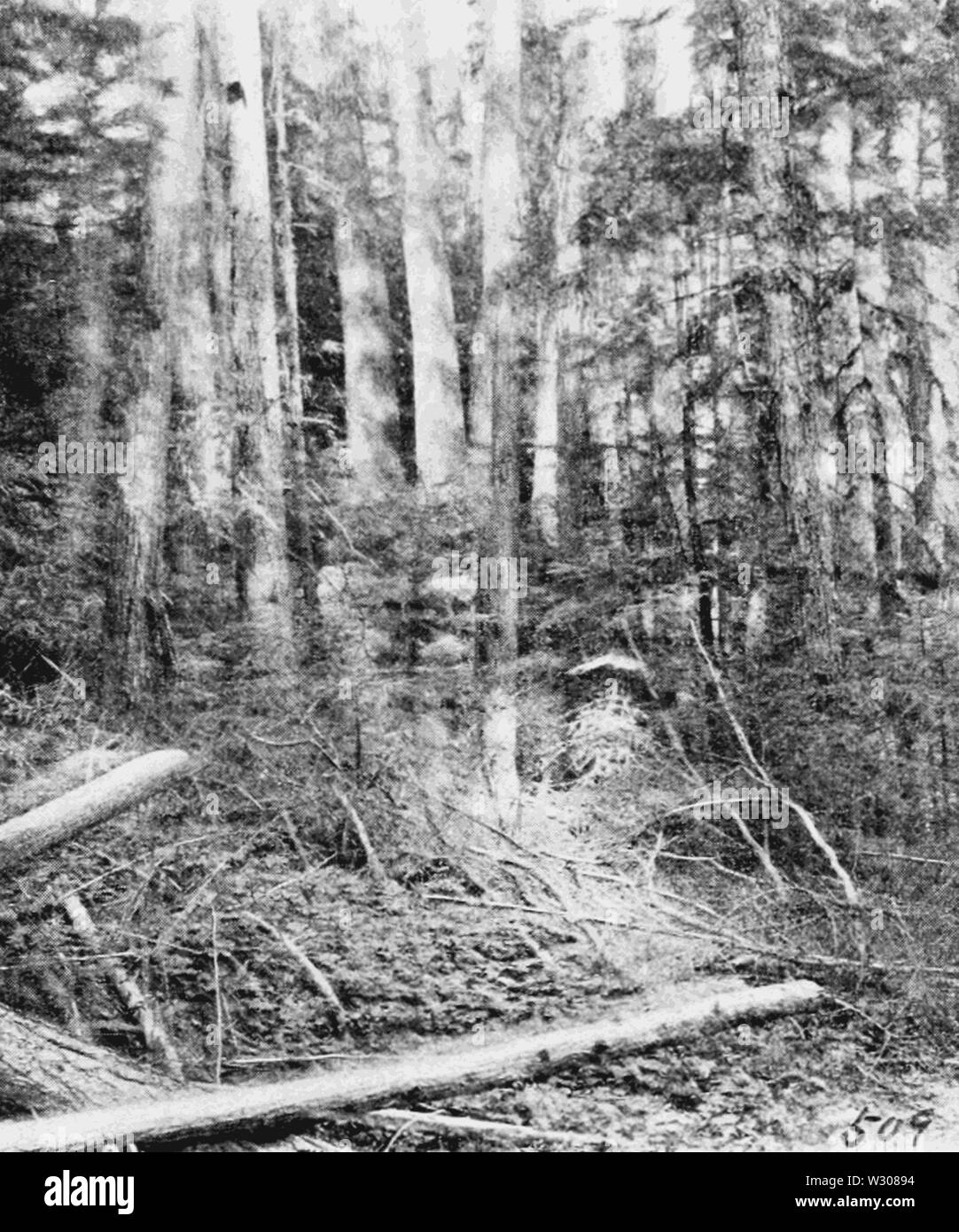 Conservation region Black and White Stock Photos & Images - Alamy