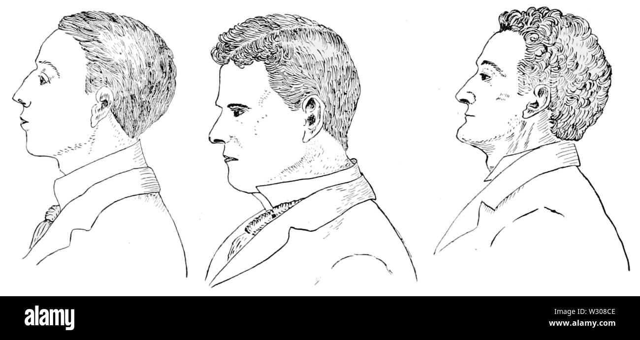 Head profile illustrations Cut Out Stock Images & Pictures - Alamy