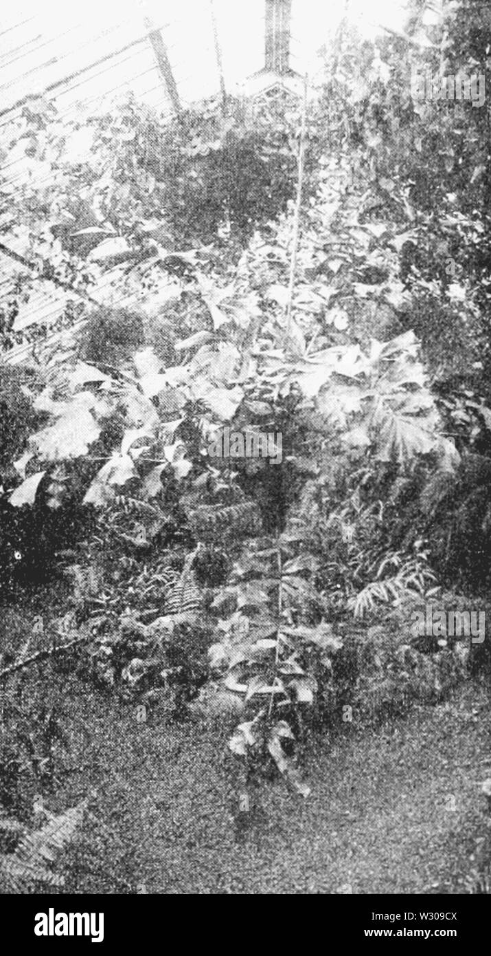 Specimen based Black and White Stock Photos & Images - Alamy