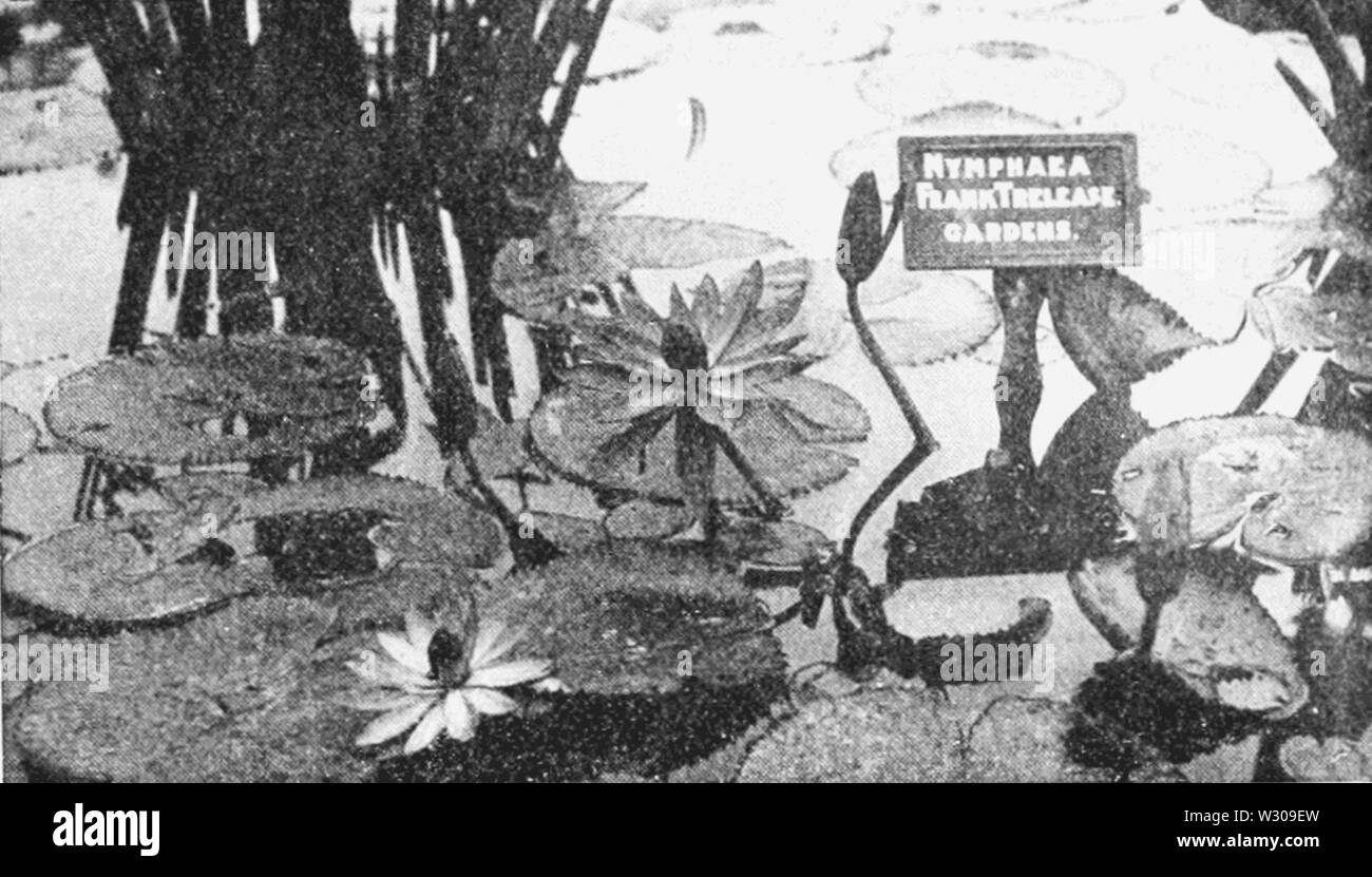 Gurney Black and White Stock Photos & Images - Alamy