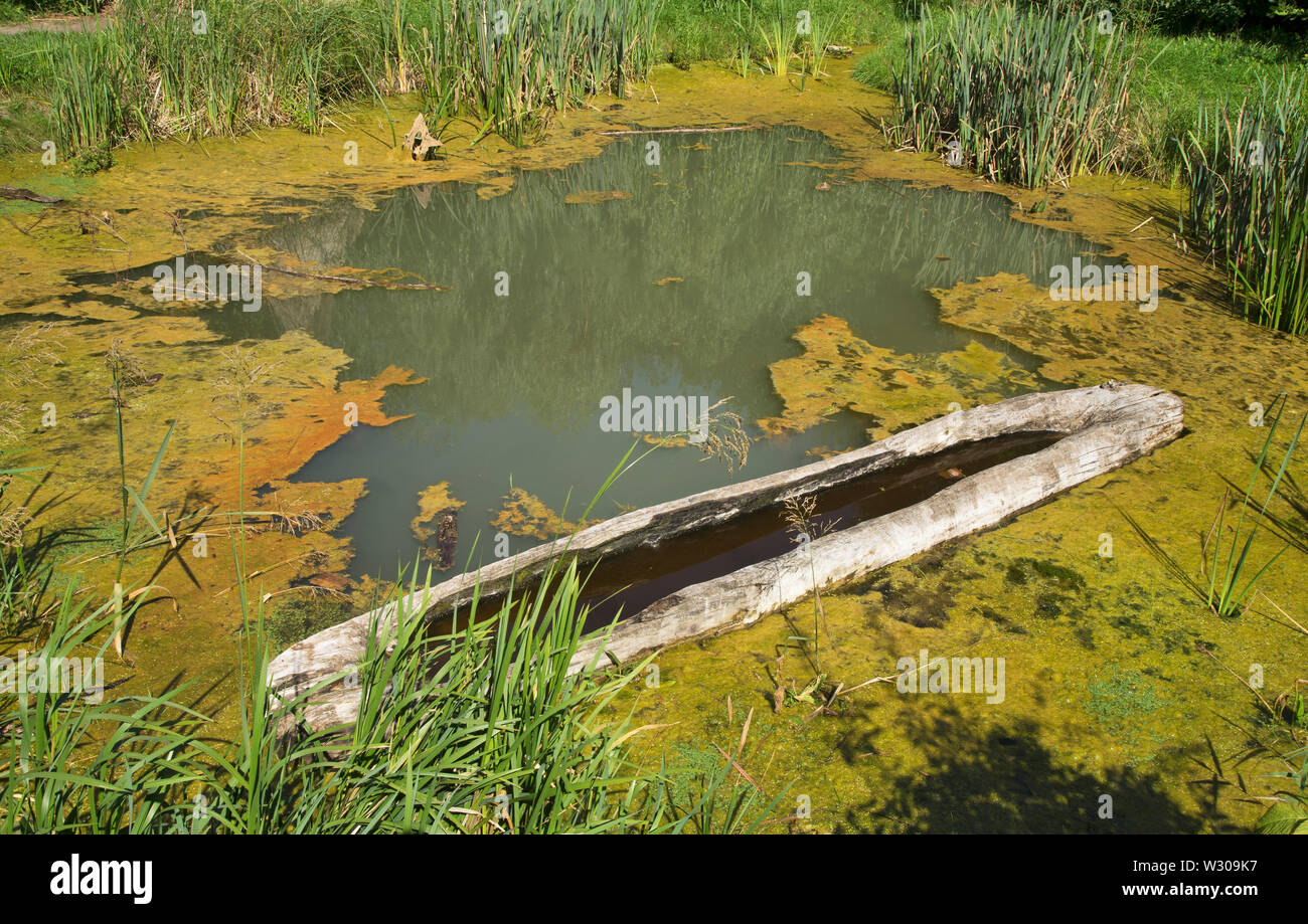 Dugout Boat Museum High Resolution Stock Photography and Images - Alamy
