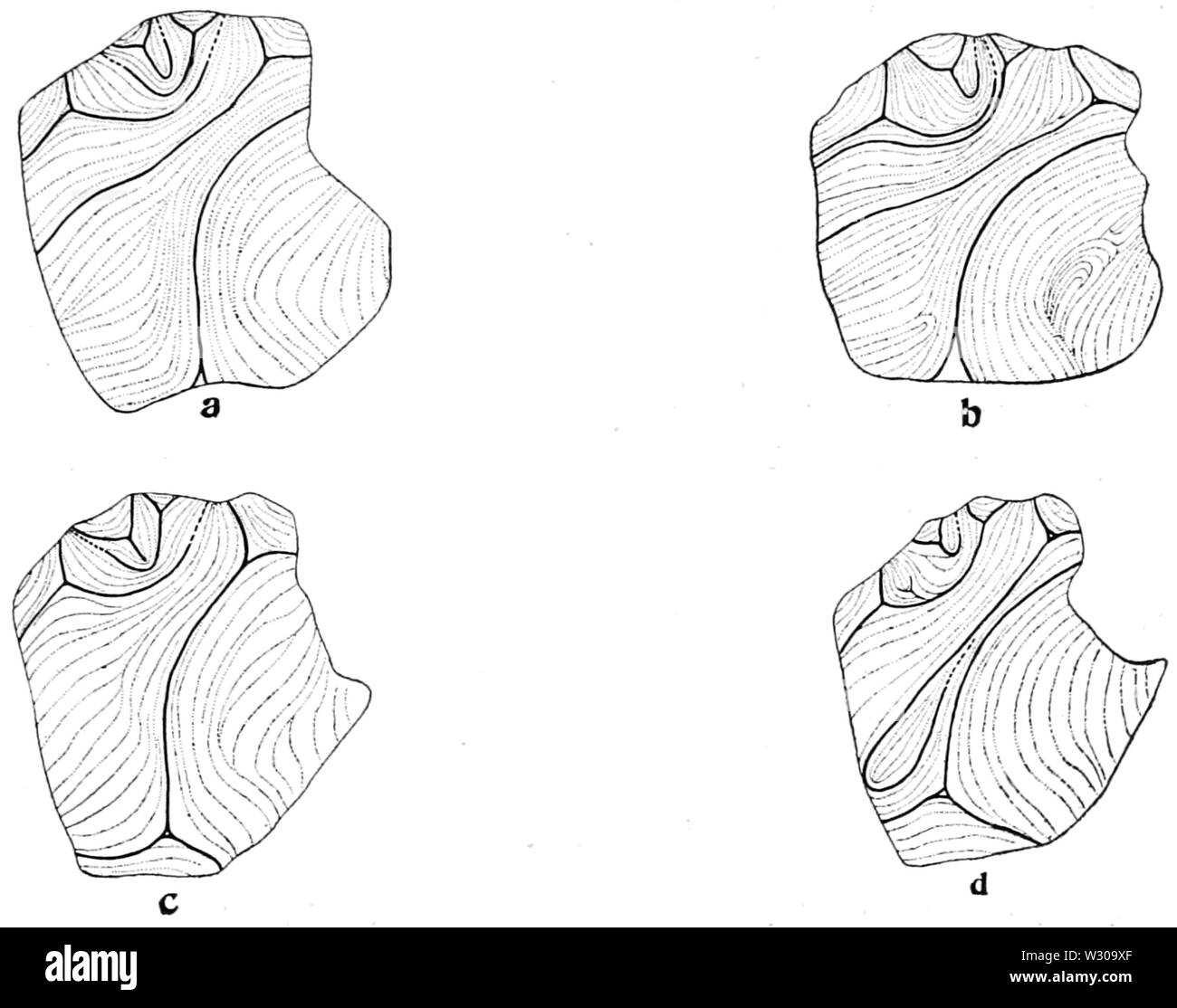 Tracings hi-res stock photography and images - Alamy