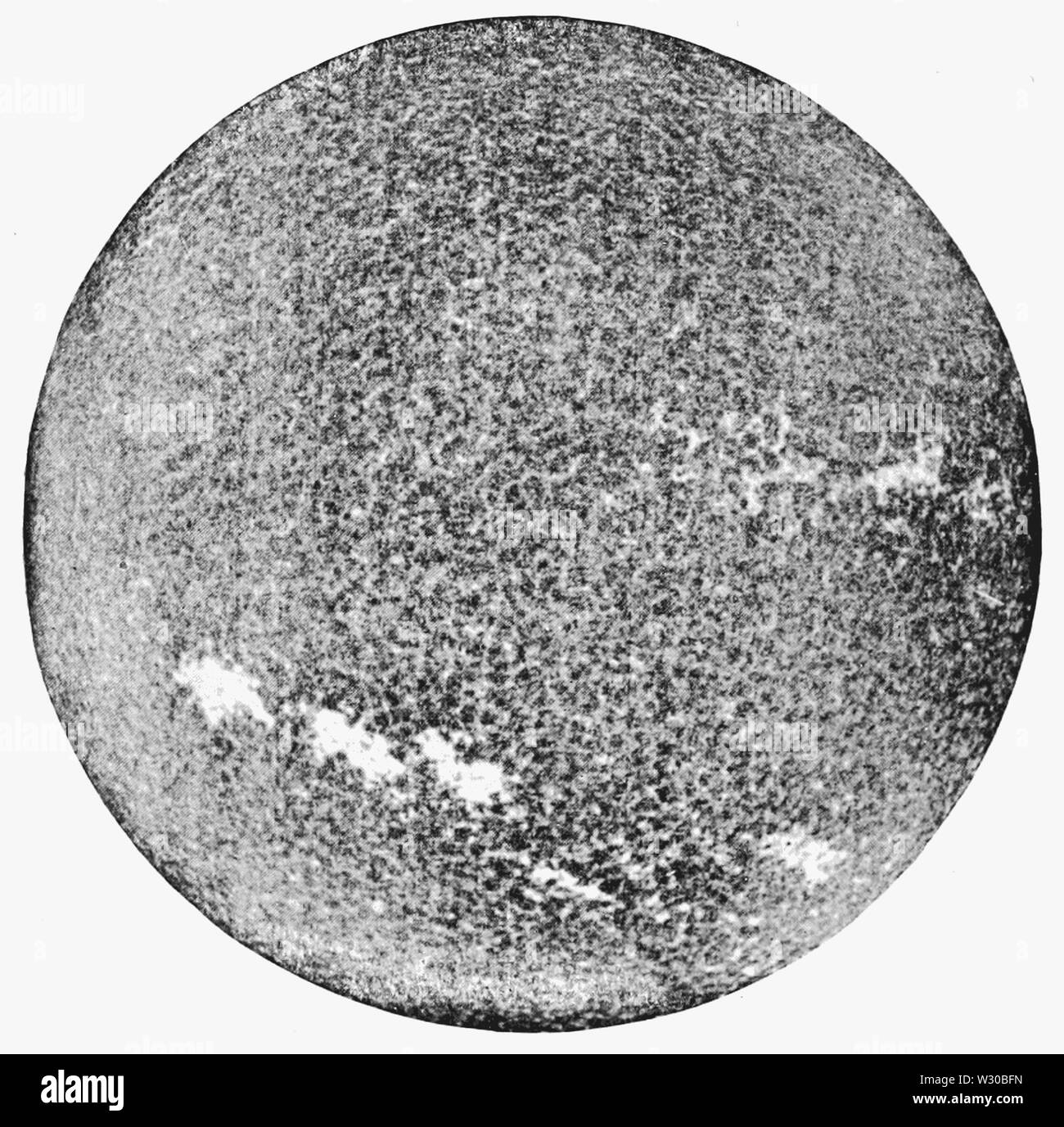 PSM V65 D018 The sun showing the calcium flocculi august 1903 Stock ...