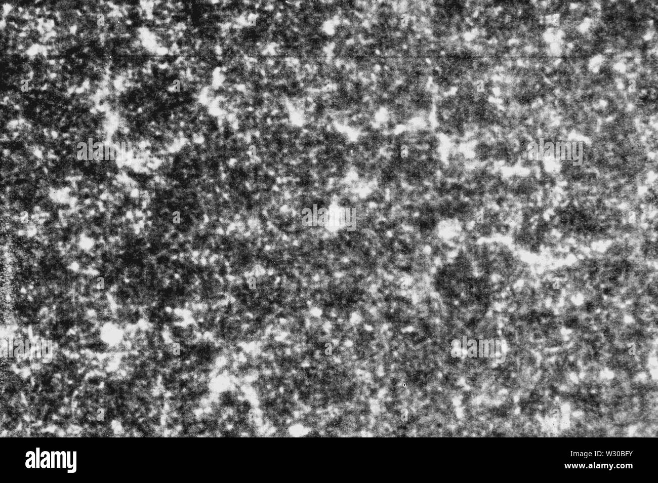 PSM V65 D019 Minute structure of the calcium flocculi sept 22 1903 ...