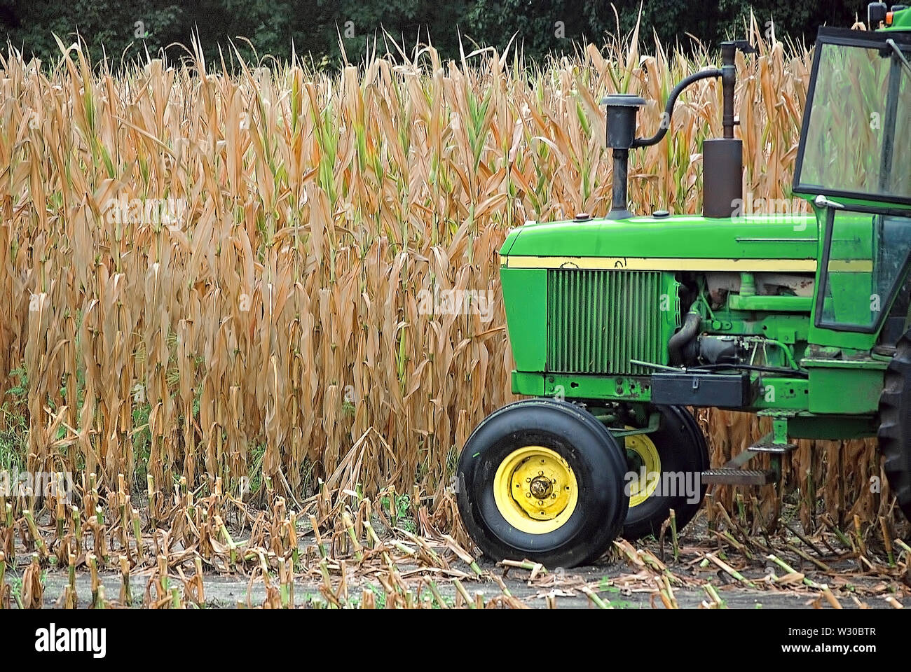 Corn field tractor hi-res stock photography and images - Alamy