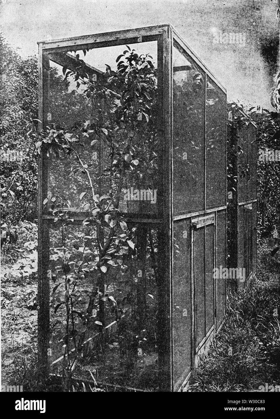 Cage setup hi-res stock photography and images - Alamy