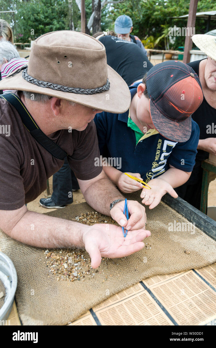 Visitors panning for any signs of blue stone sapphires at a gem shop ...