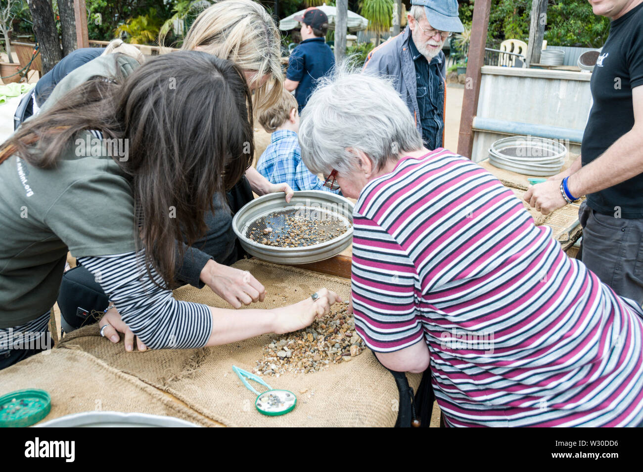 Visitors panning for any signs of blue stone sapphires at a gem shop ...