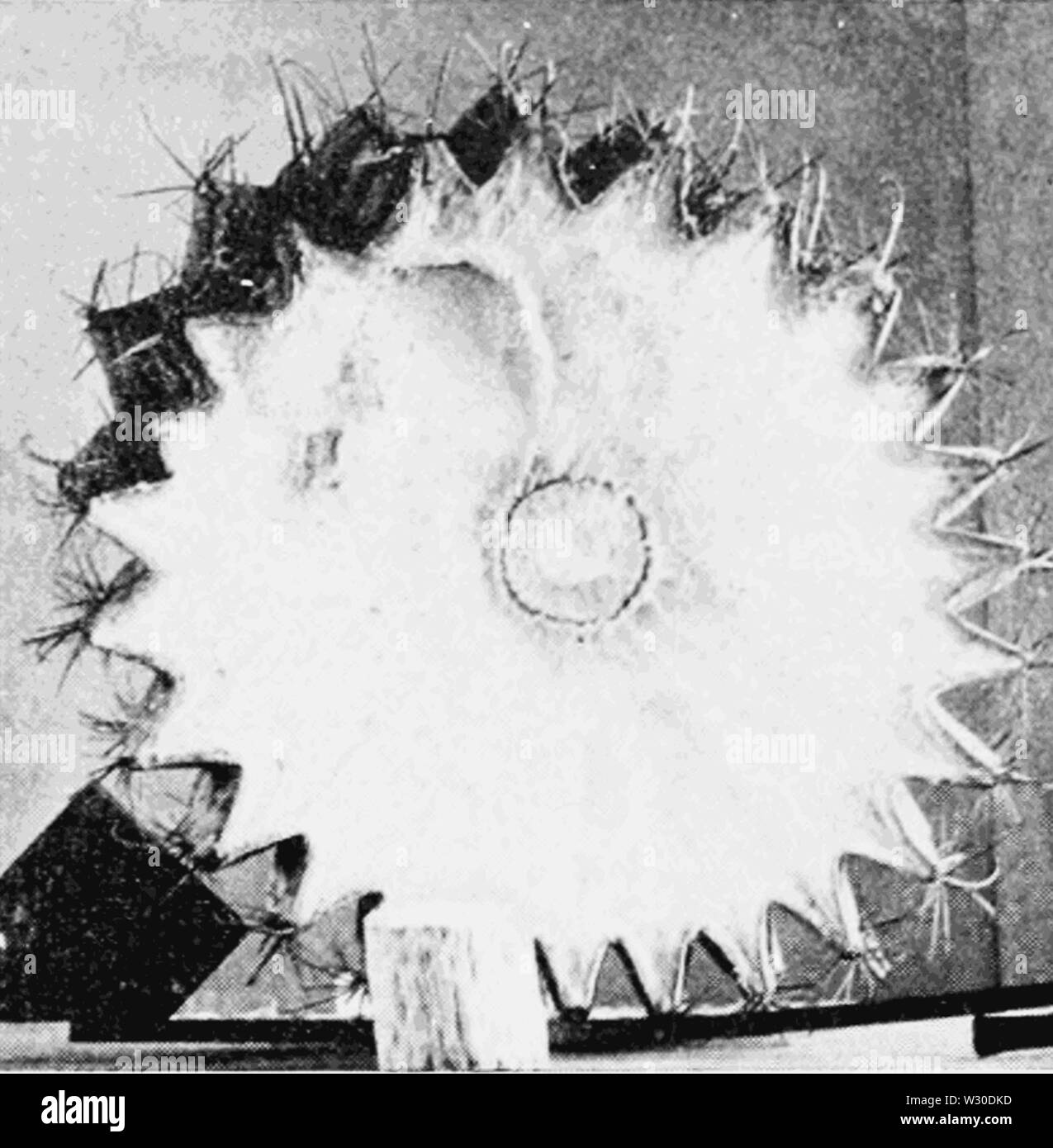 Across desert Black and White Stock Photos & Images - Alamy