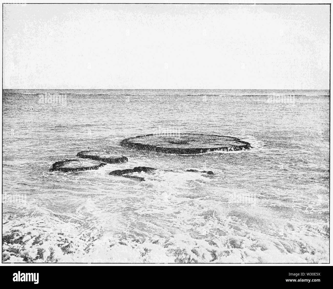 Dimunitive hi-res stock photography and images - Alamy