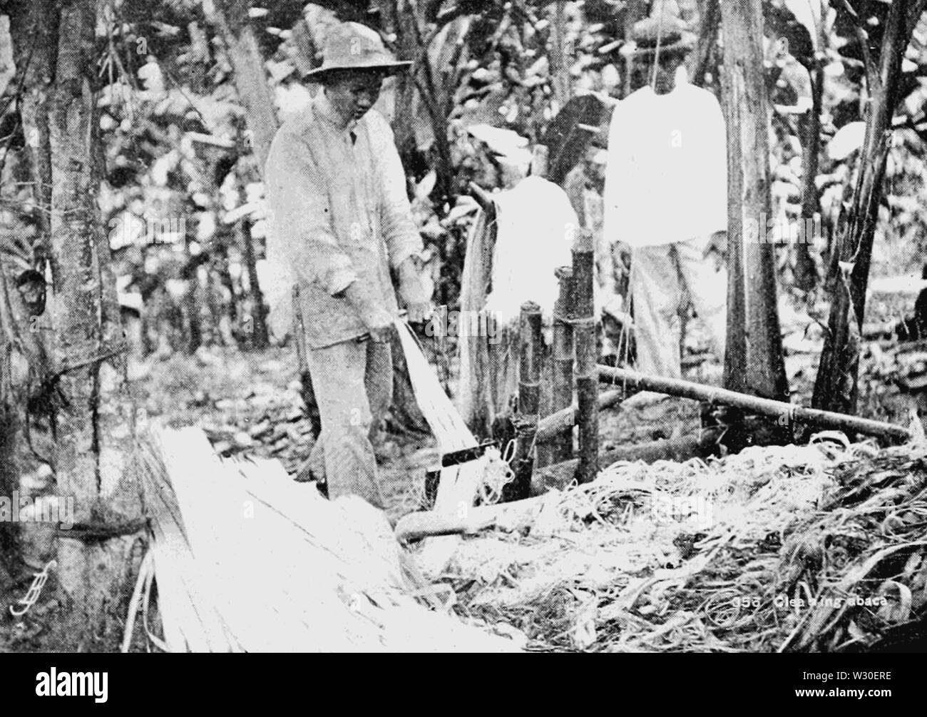 Abaca stripping hi-res stock photography and images - Alamy