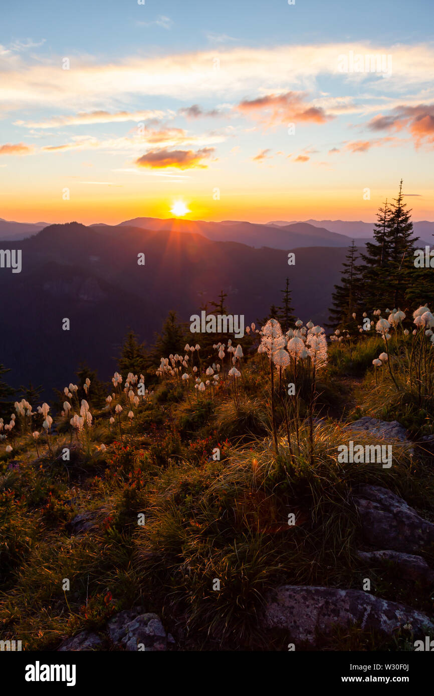 Beautiful View of American Mountain Landscape during a vibrant and ...