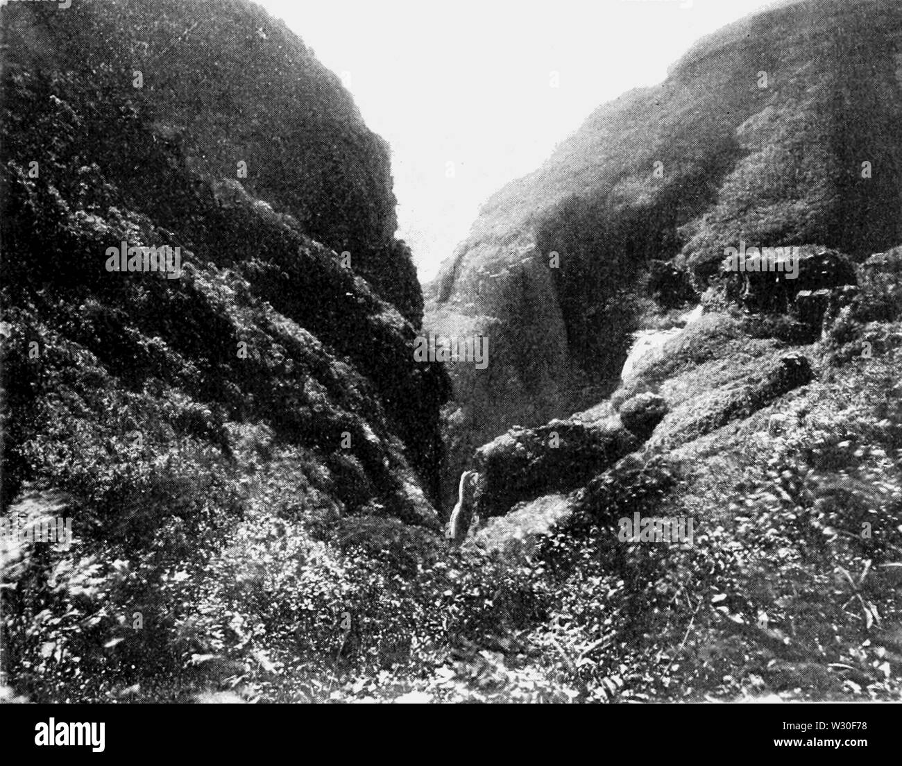 Kuling hi-res stock photography and images - Alamy