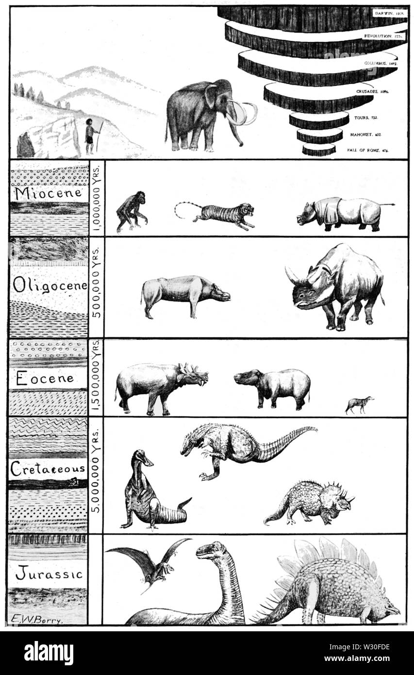 Period timeline Cut Out Stock Images & Pictures - Alamy