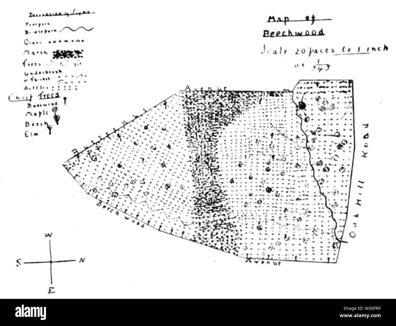 PSM V67 D737 Map of beechwood areas Stock Photo - Alamy