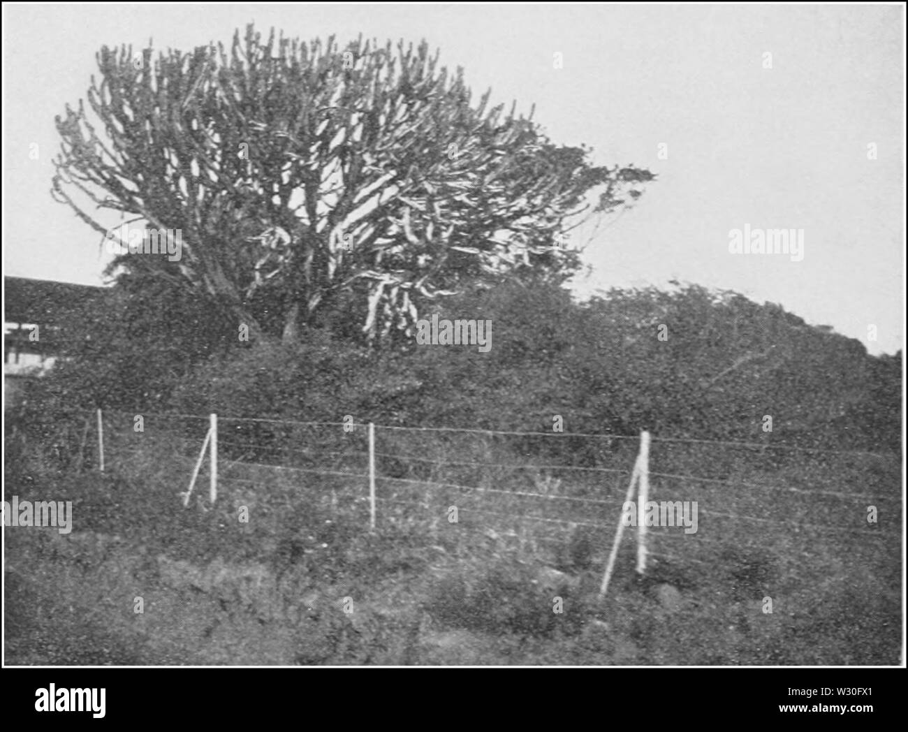 Environmental subjects Black and White Stock Photos & Images - Alamy