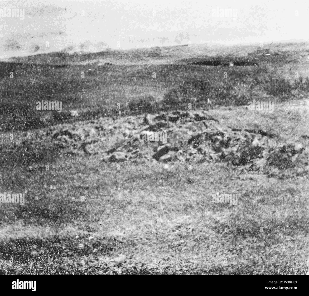 PSM V69 D301 Earthquake rift on freeman ranch near tomales bay 1 Stock ...