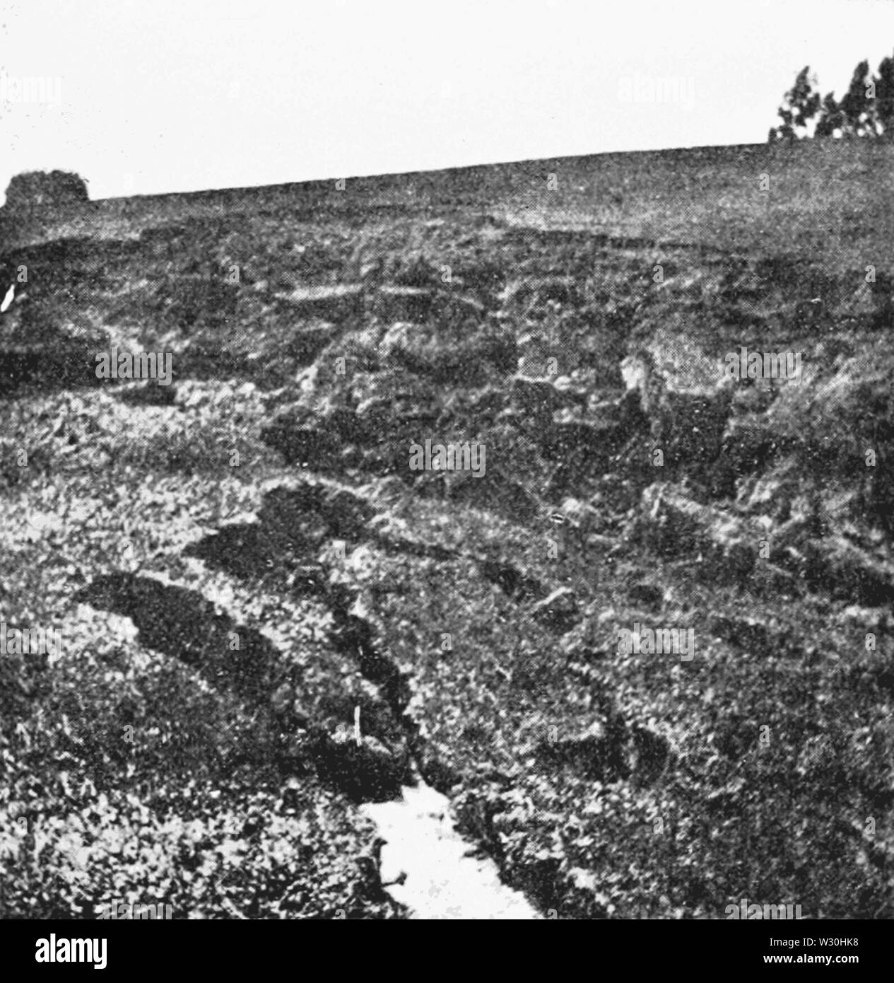 PSM V69 D301 Earthquake rift on freeman ranch near tomales bay 2 Stock ...