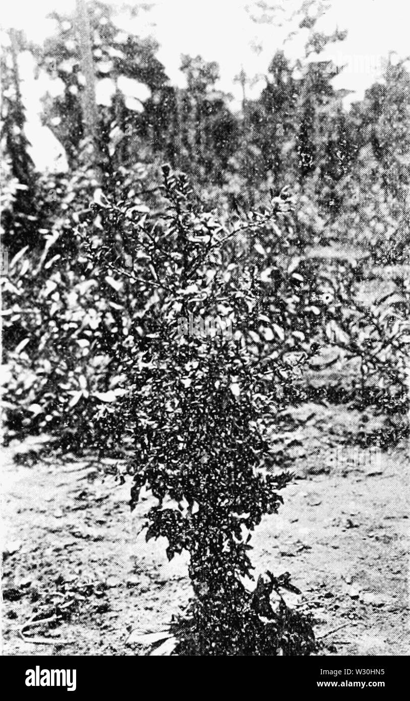 Zinc sulphate hi-res stock photography and images - Alamy