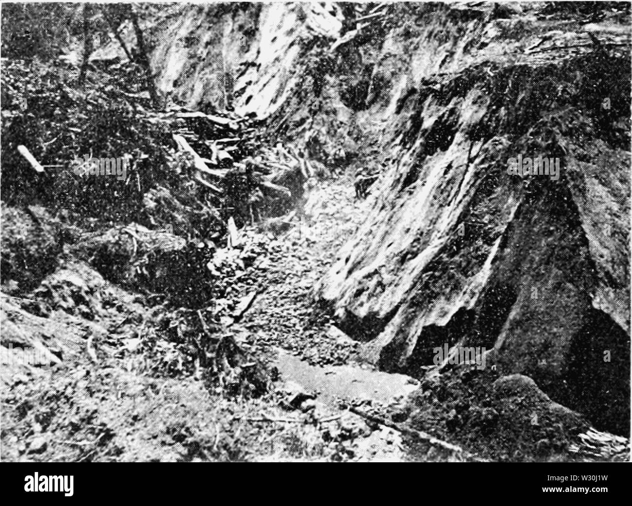 PSM V69 D308 Loma prieta saw mill sunk 125 feet Stock Photo - Alamy