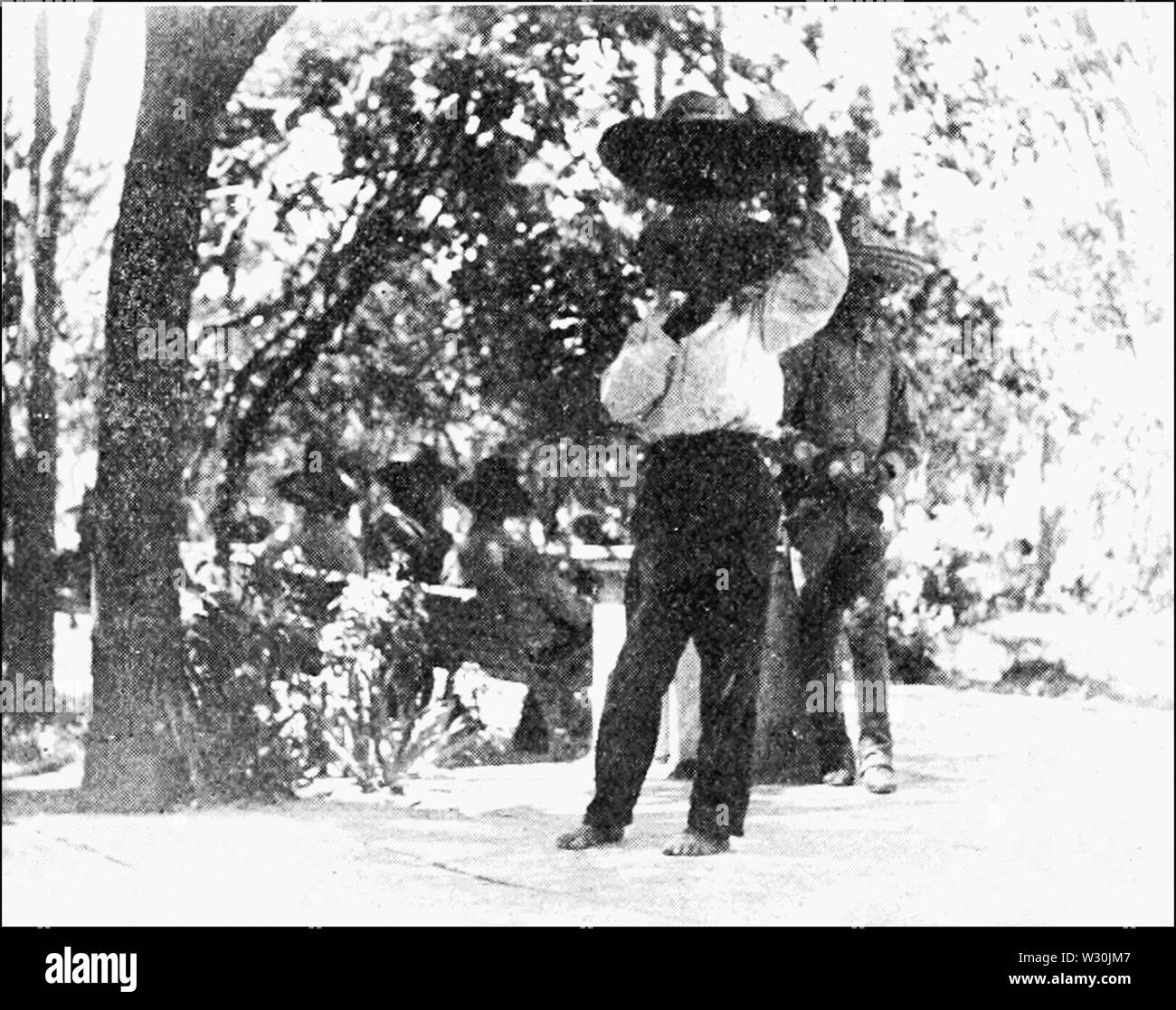 Quiote hi-res stock photography and images - Alamy