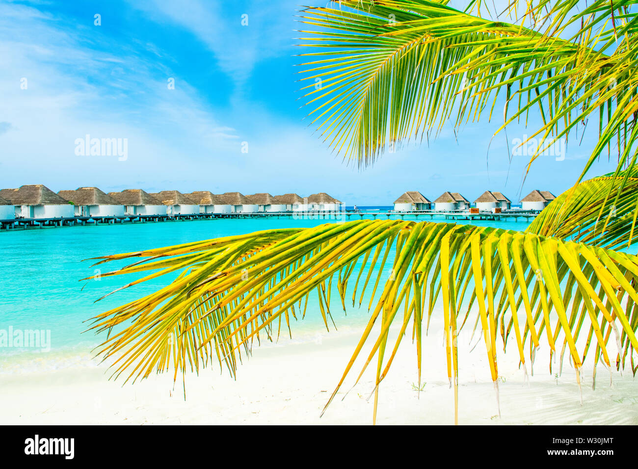 The beautiful landscape of the deserted Indian Ocean sandy beach ...
