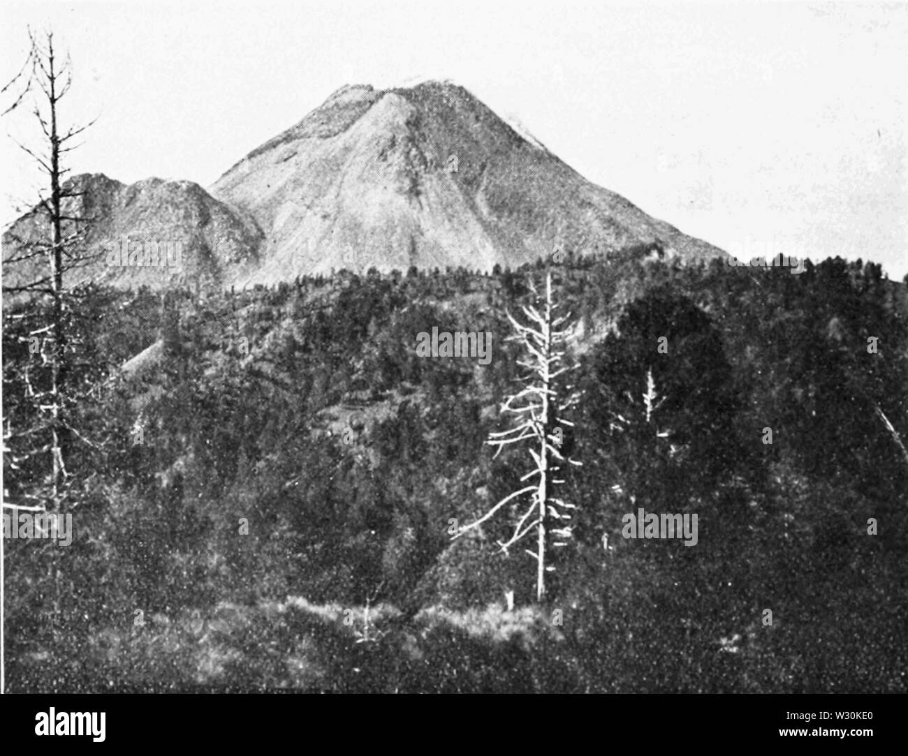 Secondary cone hi-res stock photography and images - Alamy